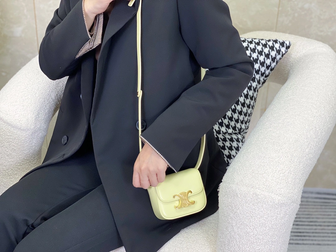 Authentic Celine Besace Bags