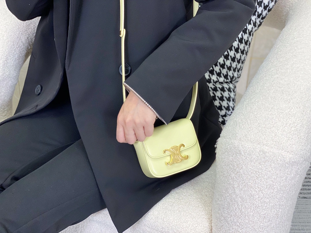 Authentic Celine Besace Bags