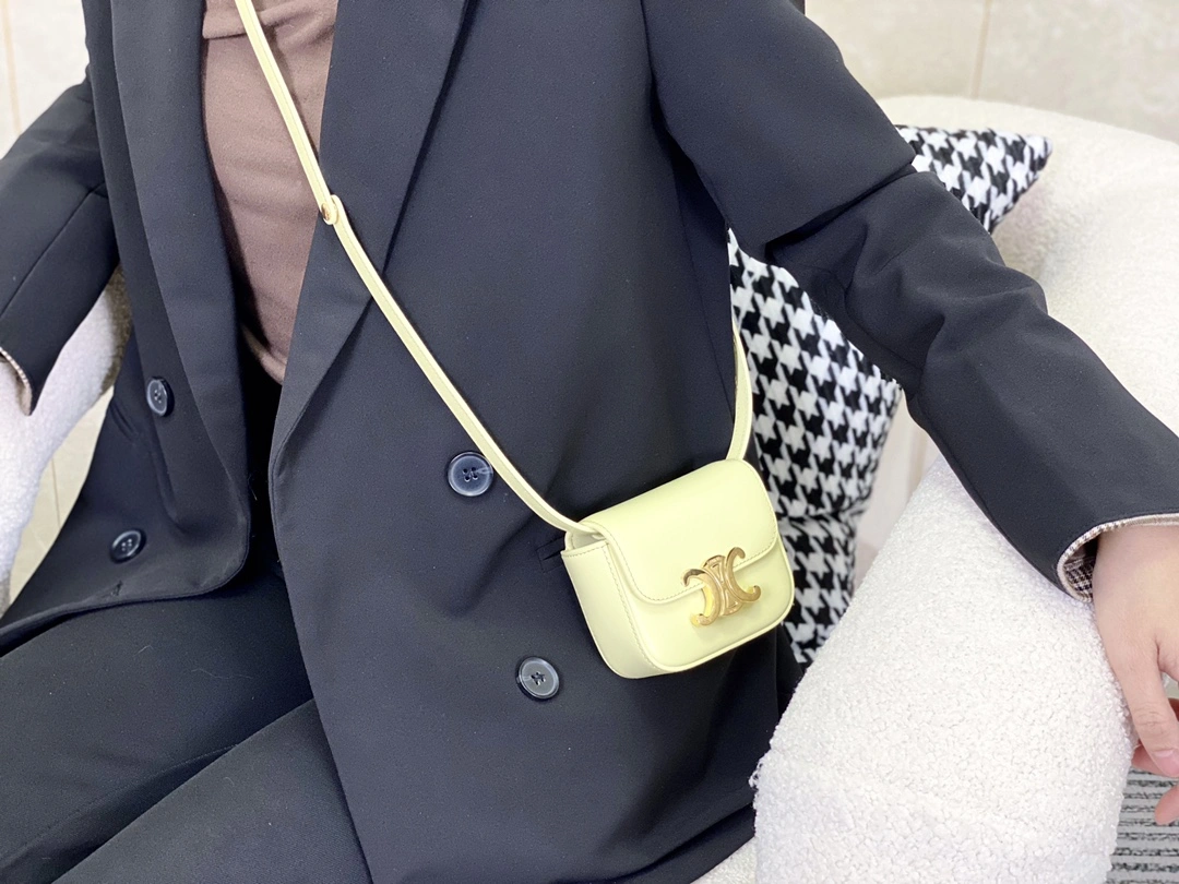 Authentic Celine Besace Bags