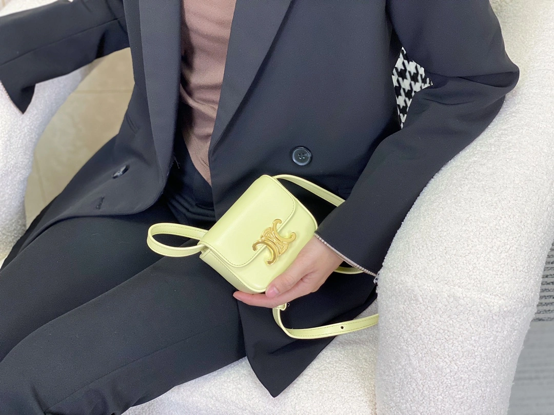 Authentic Celine Besace Bags