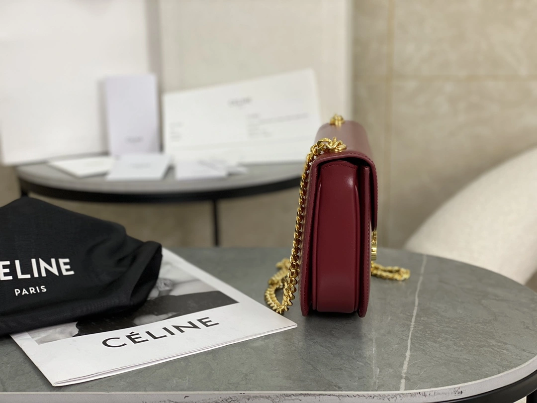 Official Celine Besace Bags