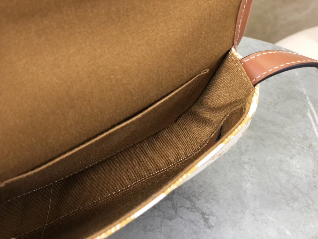 Indistinguishable Celine Besace Bags
