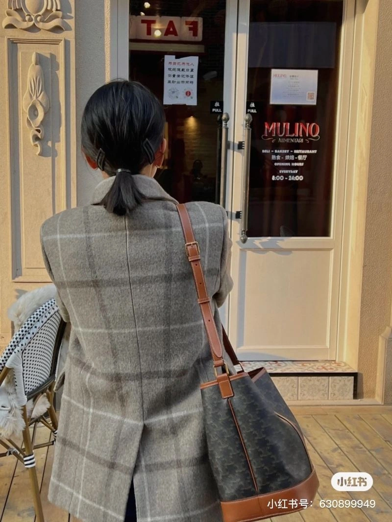 Budget-friendly Celine Bucket Bags
