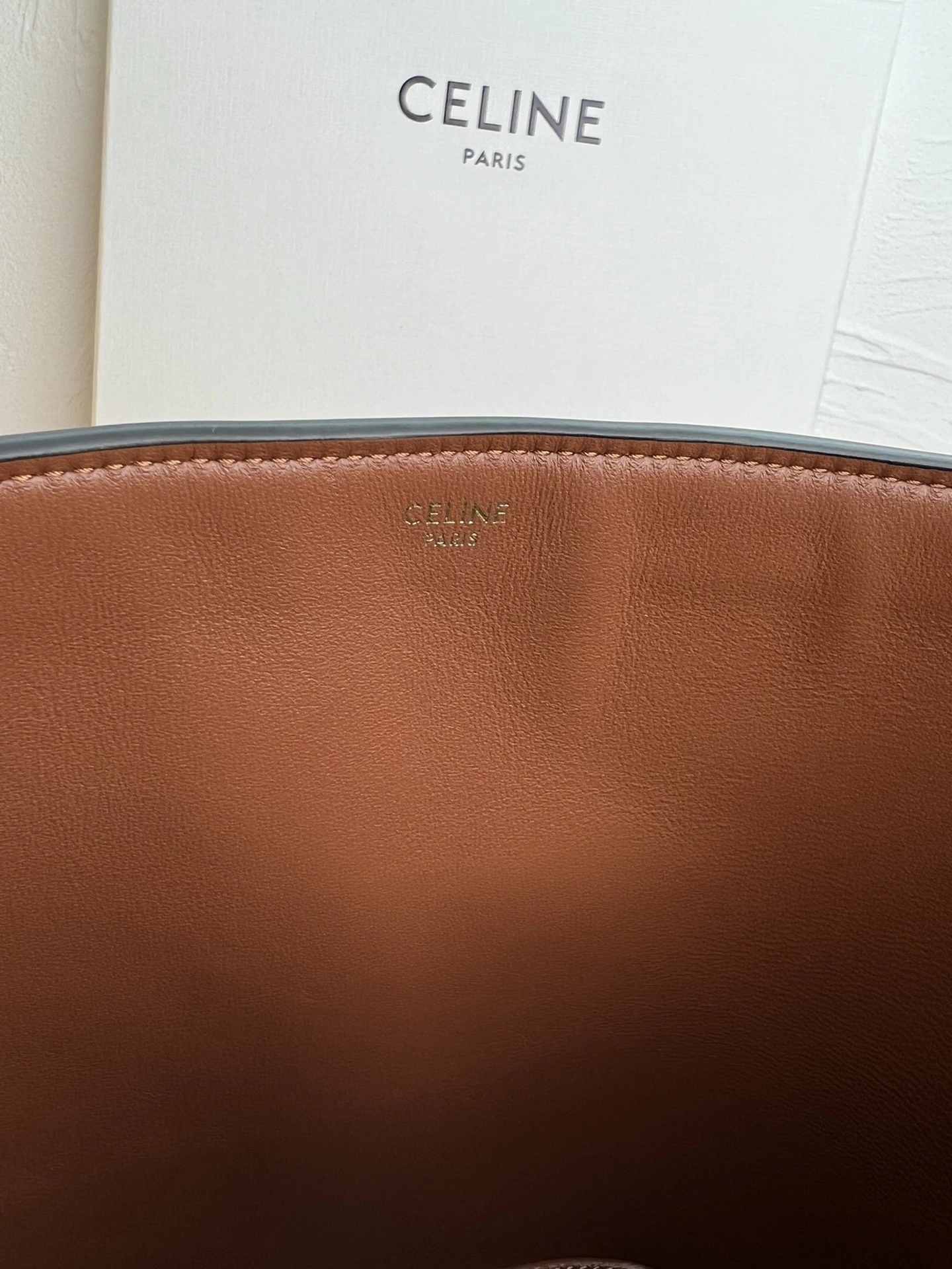 Indistinguishable Celine Bucket Bags