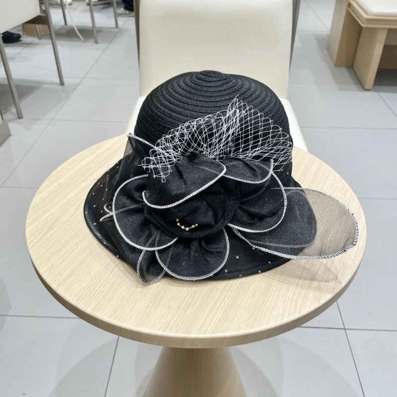 Official Celine Caps