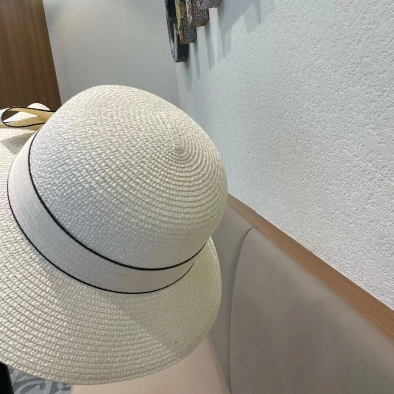 Official Celine Caps