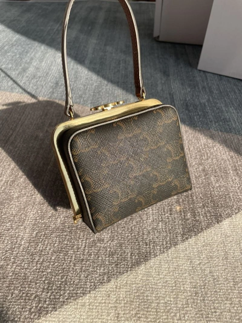High accuracy Celine Cosmetic Bags