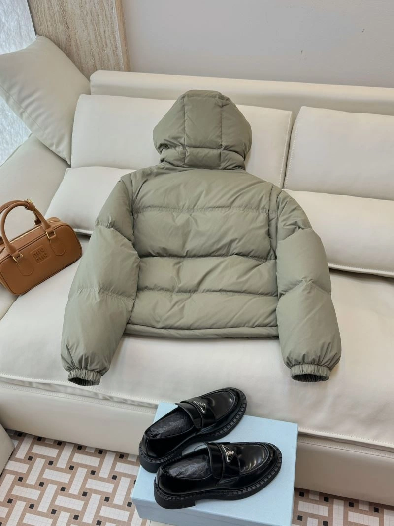 Exact replica Celine Down Jackets