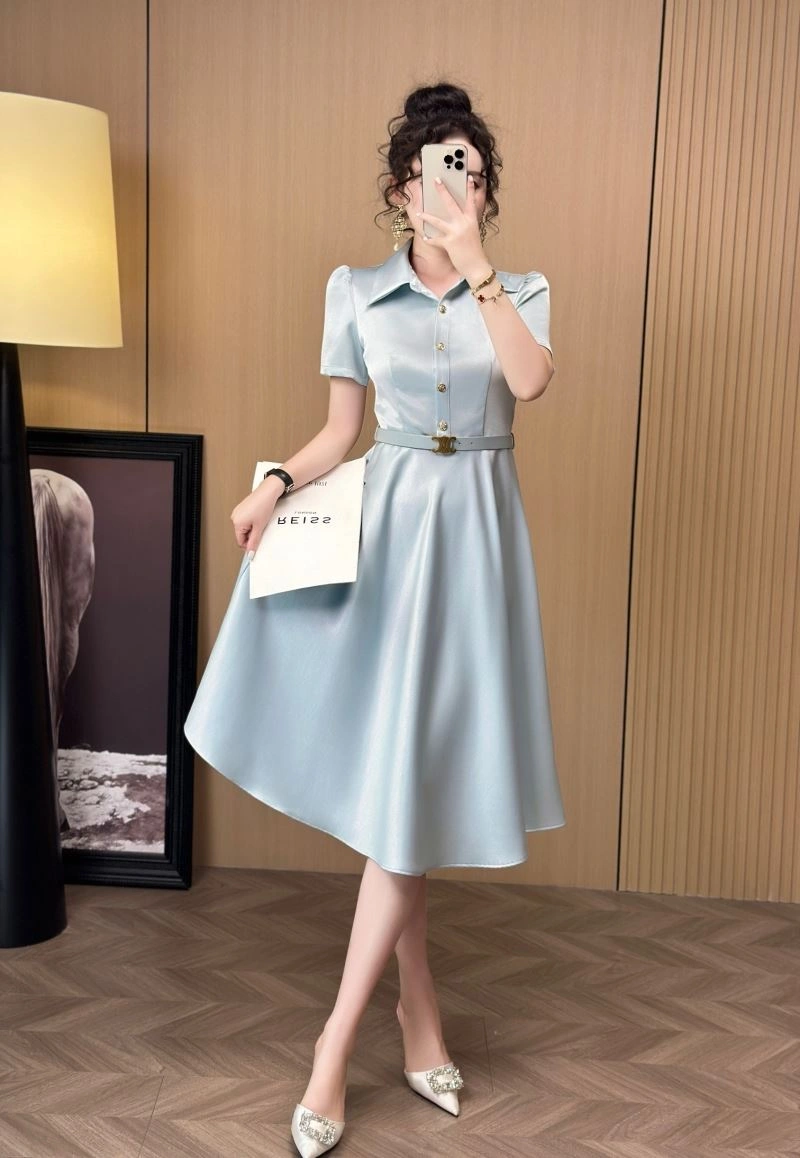 Bargain Celine Dress