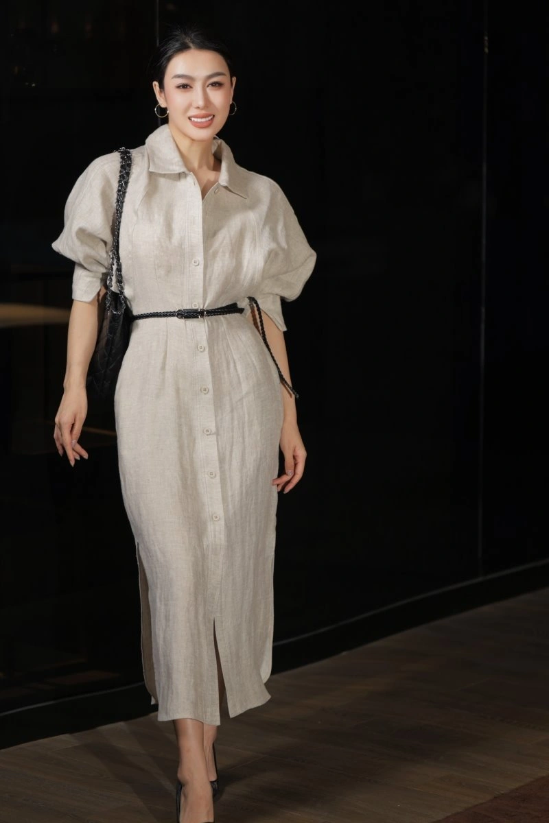 Legit Celine Dress