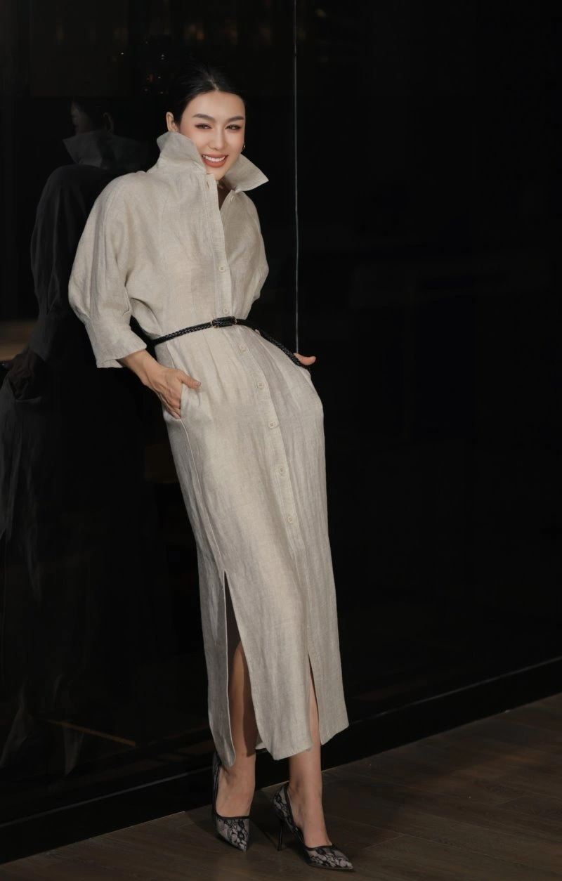 Legit Celine Dress