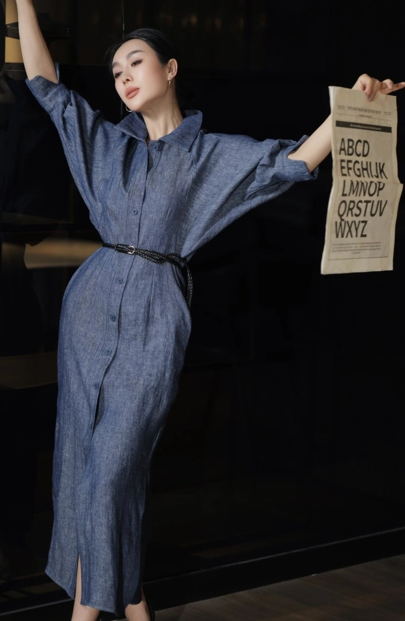 Budget-friendly Celine Dress