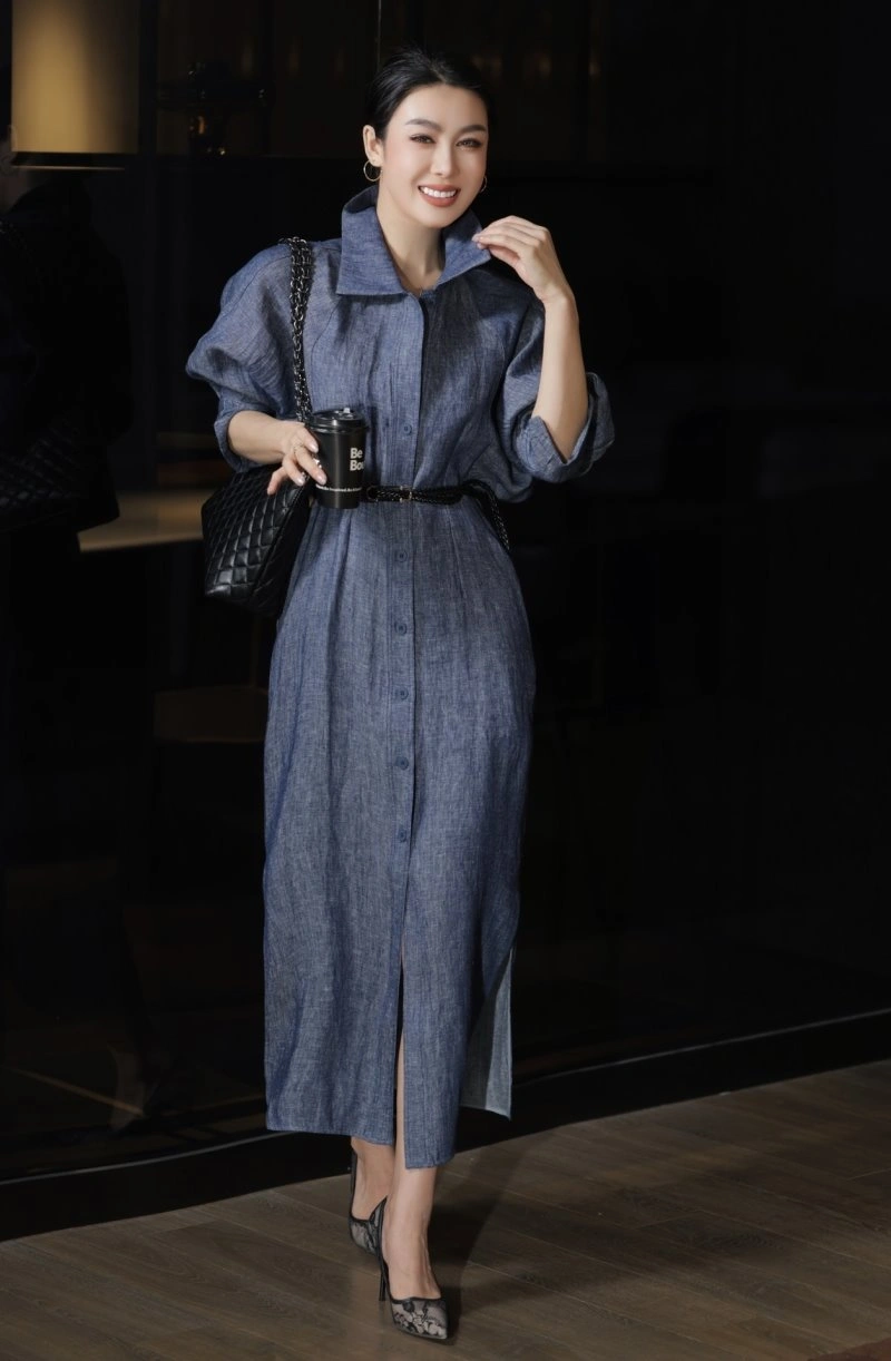 Budget-friendly Celine Dress