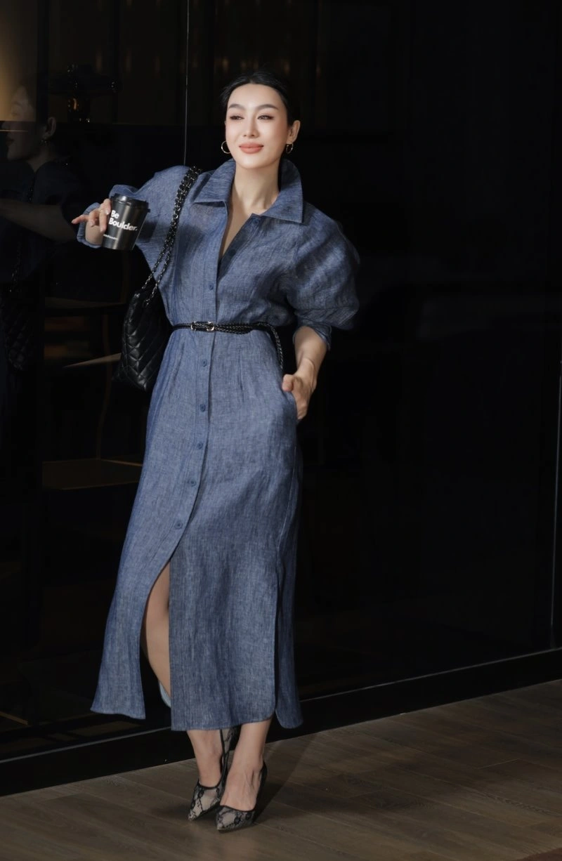 Budget-friendly Celine Dress