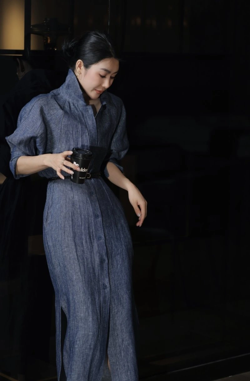 Budget-friendly Celine Dress