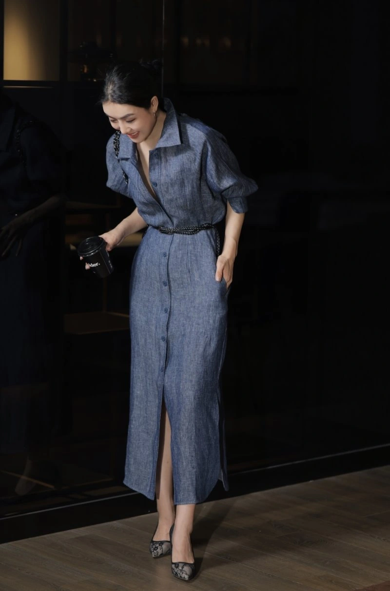 Budget-friendly Celine Dress