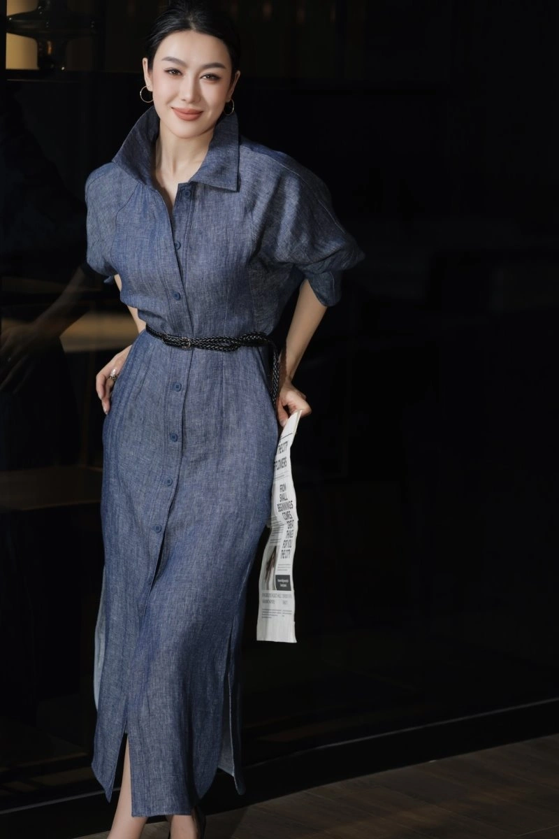 Budget-friendly Celine Dress