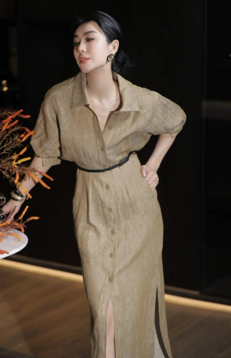 Budget-friendly Celine Dress