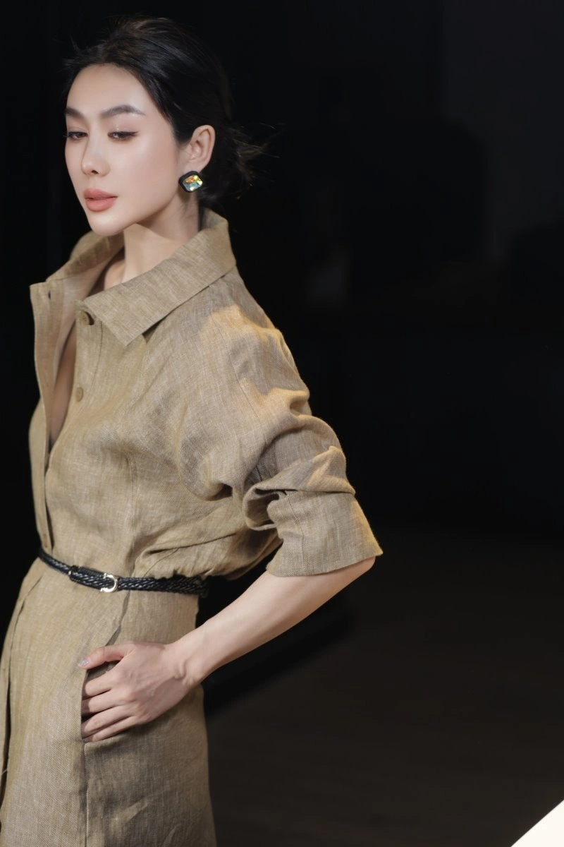 Budget-friendly Celine Dress
