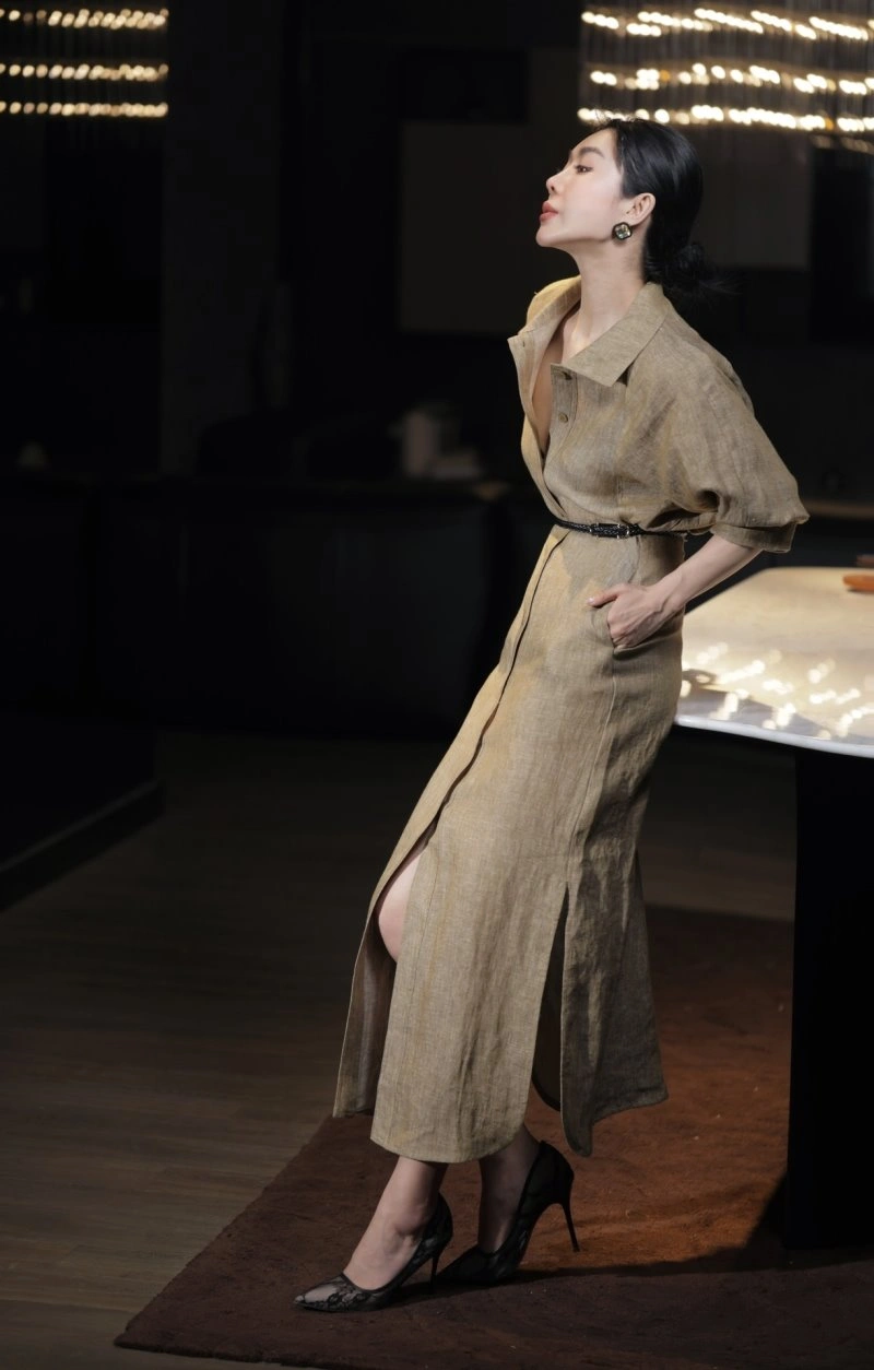 Budget-friendly Celine Dress