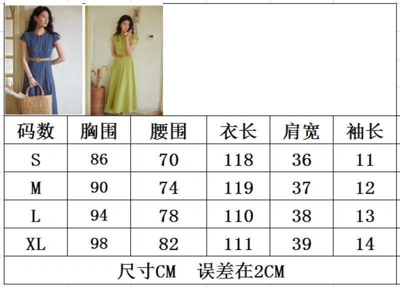 1:1 copy Celine Dress