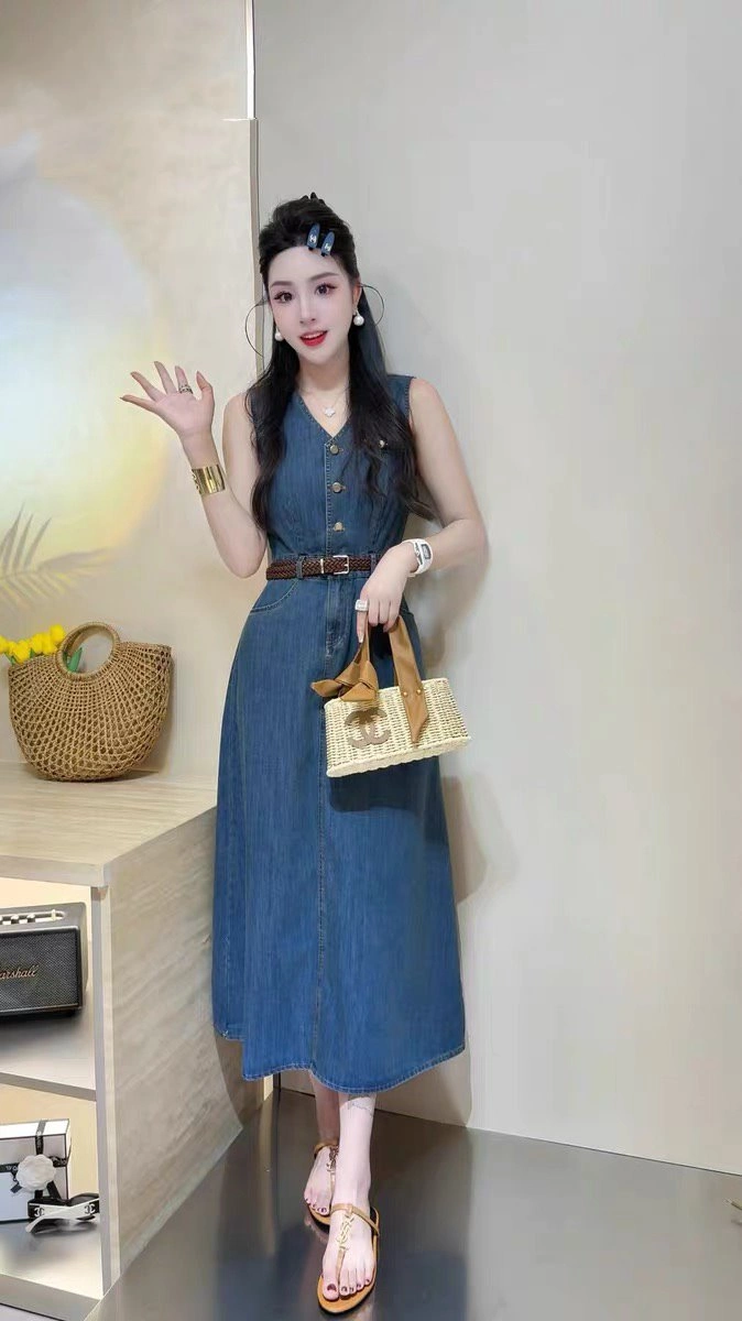 Discounted Celine Dress