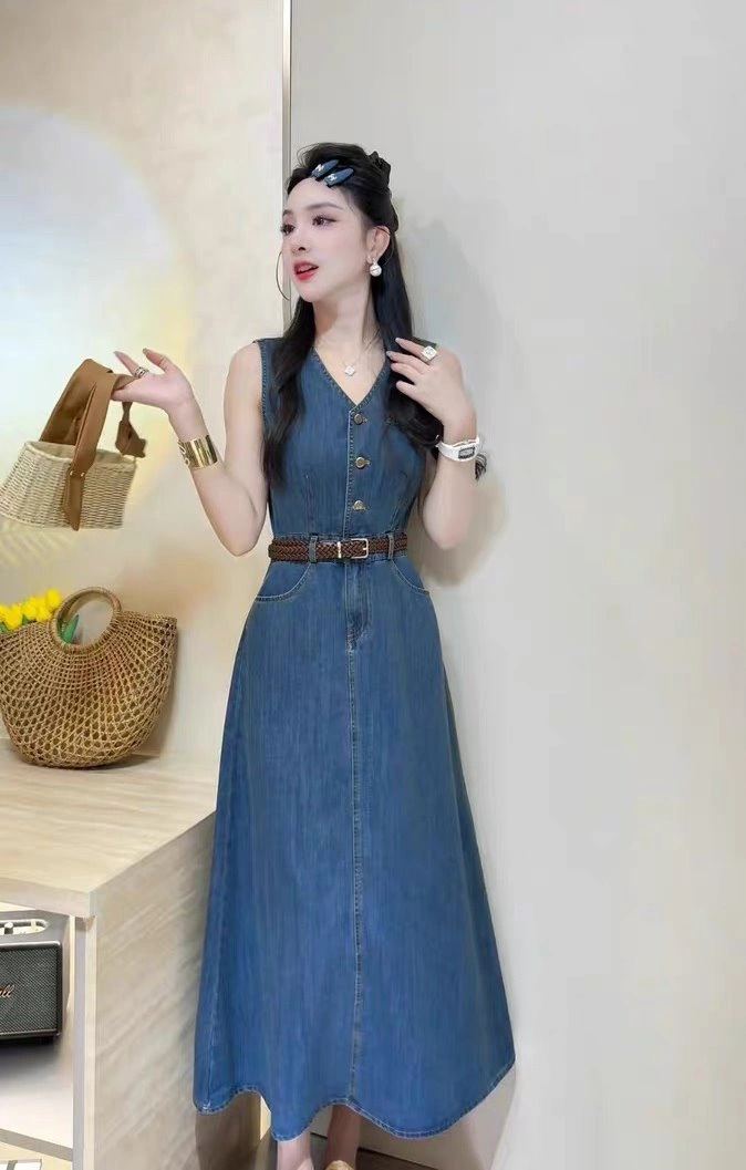 Discounted Celine Dress