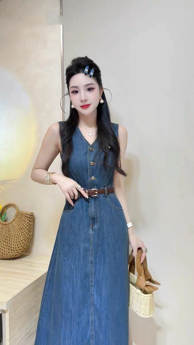 Discounted Celine Dress