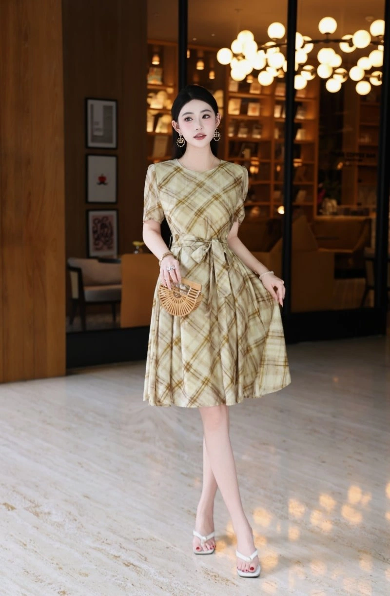 Economical Celine Dress