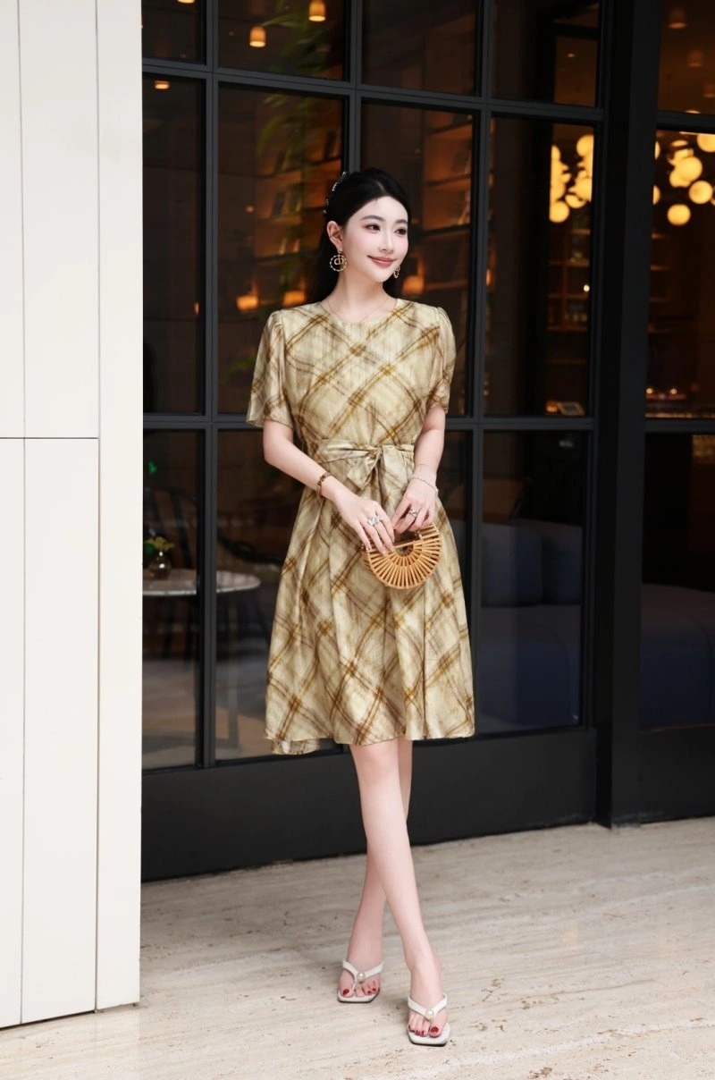 Economical Celine Dress