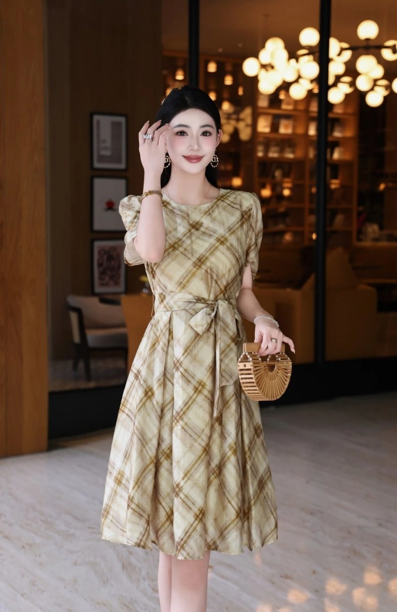 Economical Celine Dress
