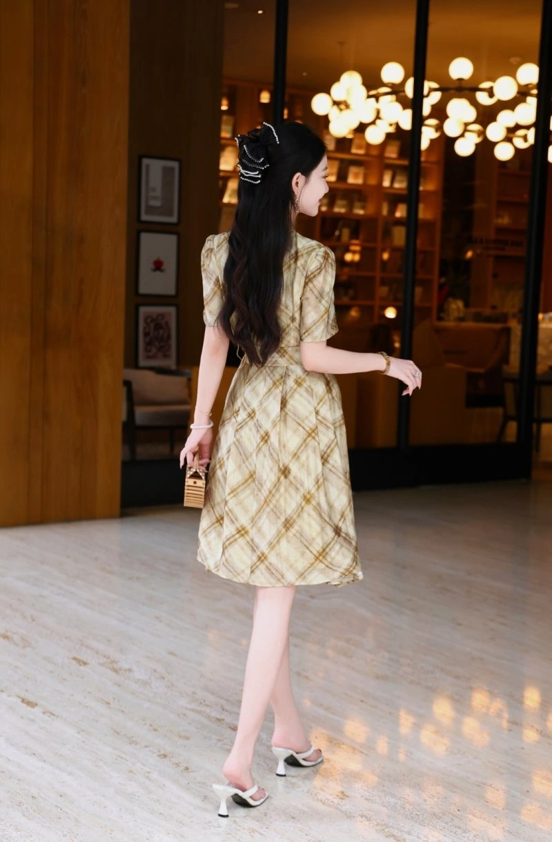 Economical Celine Dress