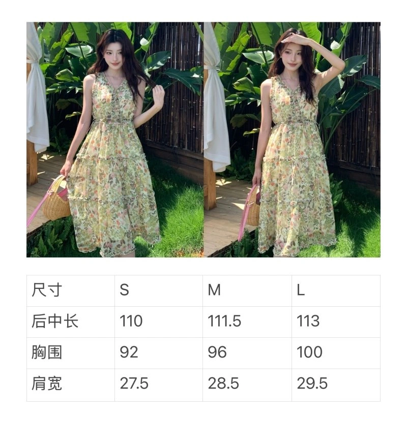 Reasonably priced Celine Dress
