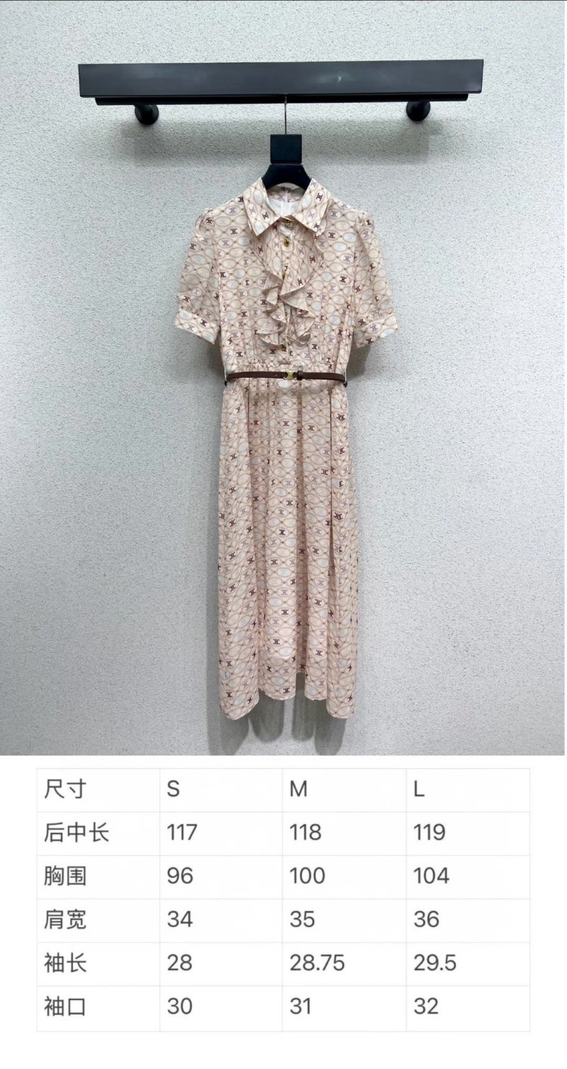 Indistinguishable Celine Dress