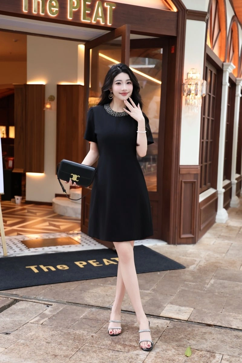 Precise copy Celine Dress