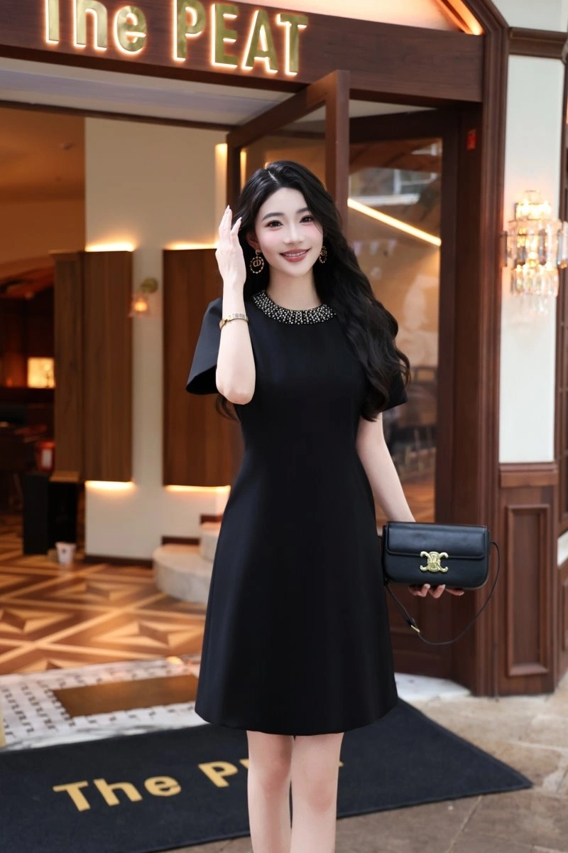 Precise copy Celine Dress