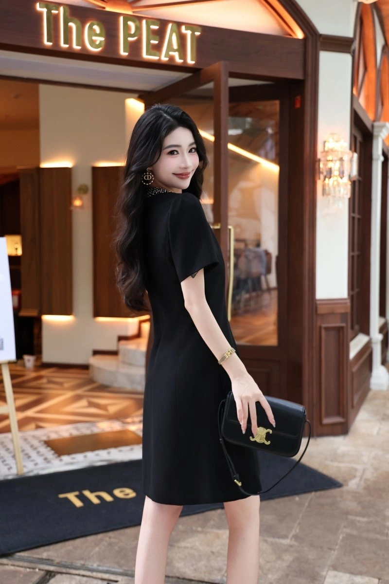 Precise copy Celine Dress