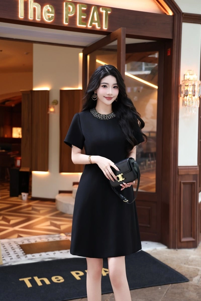 Precise copy Celine Dress