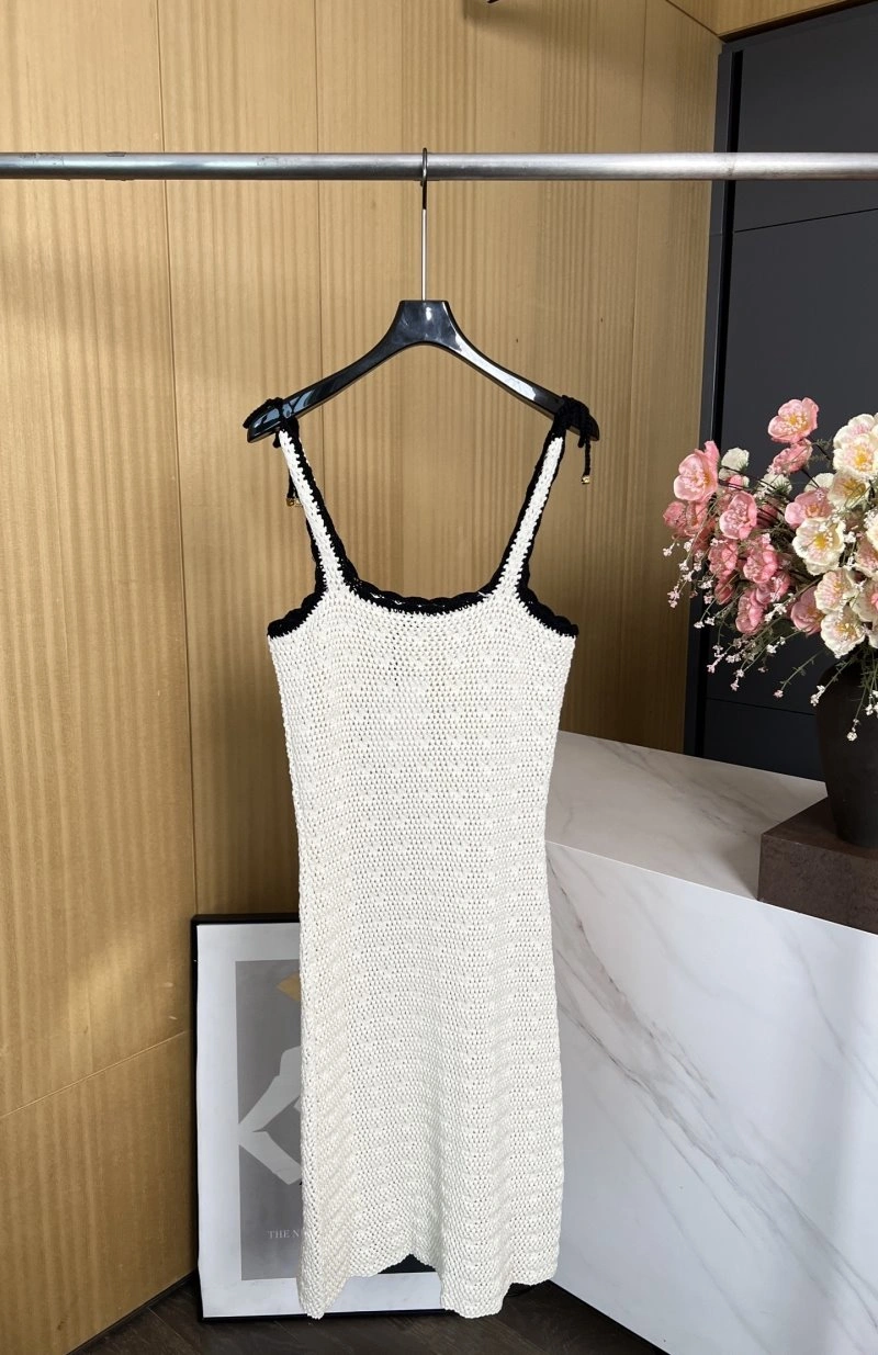 1:1 copy Celine Dress