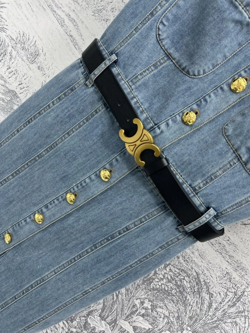 Cut-rate Celine Dress