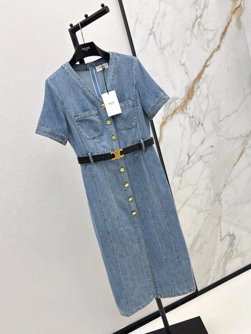 Official Celine Dress