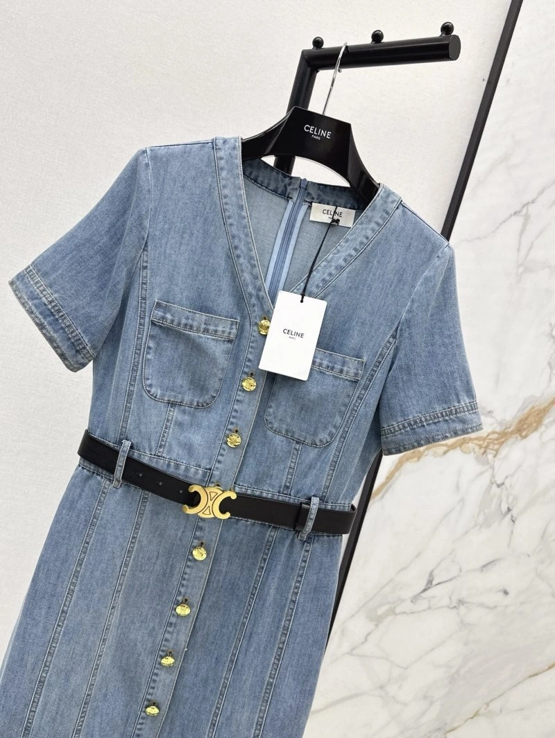 Official Celine Dress