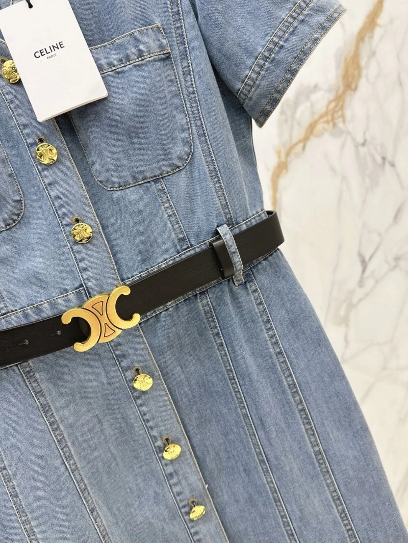 Official Celine Dress