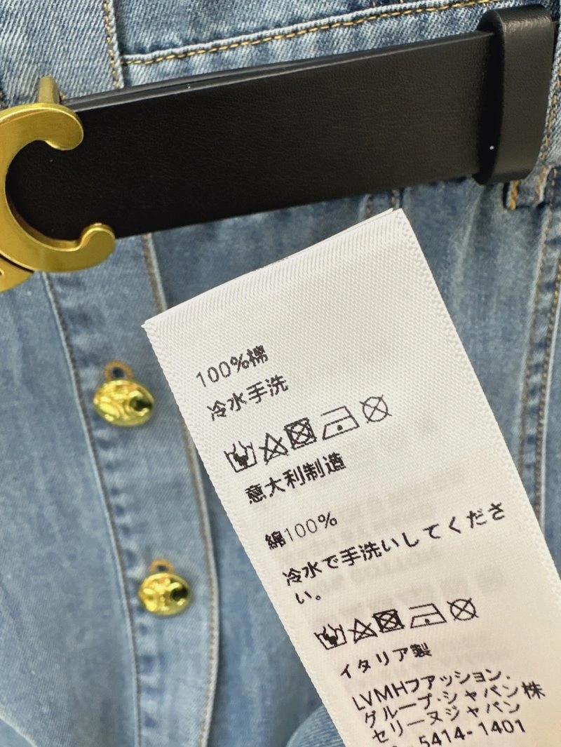 Official Celine Dress