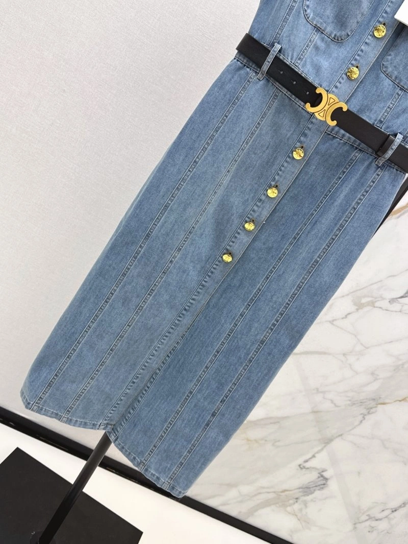 Official Celine Dress