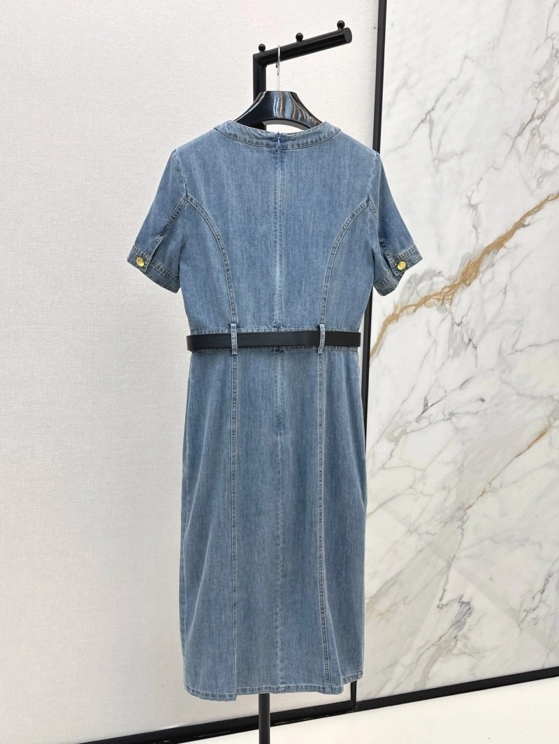 Official Celine Dress