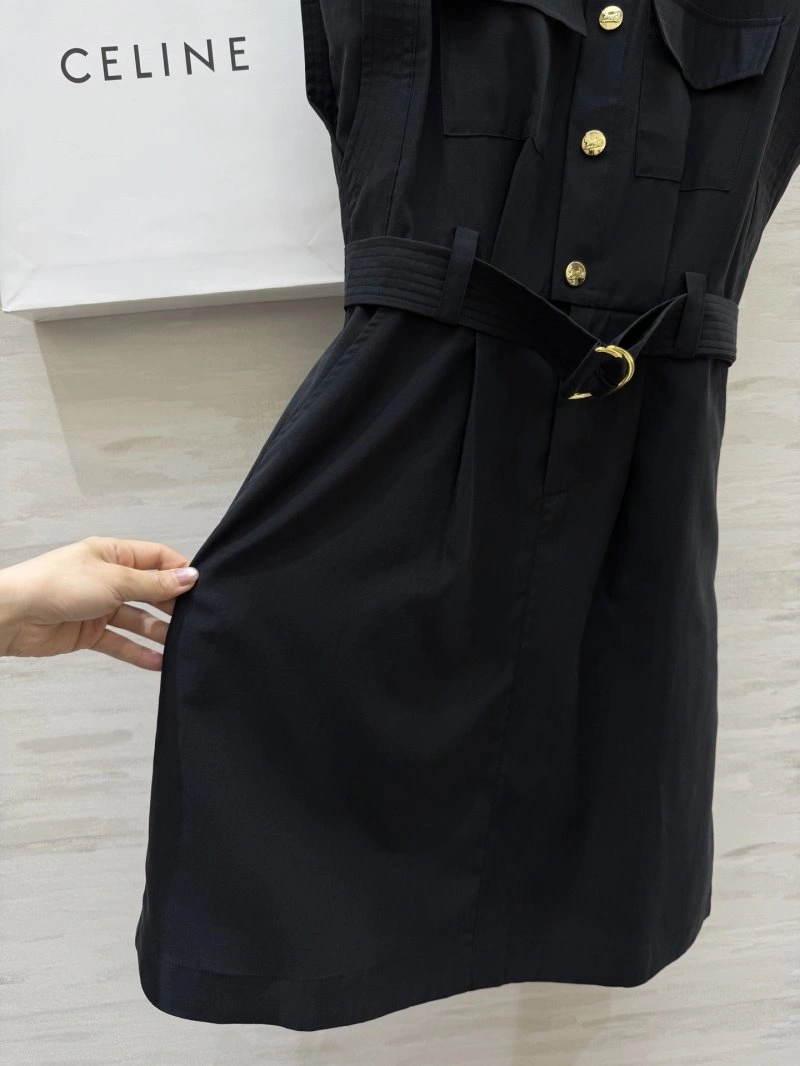 Economical Celine Dress