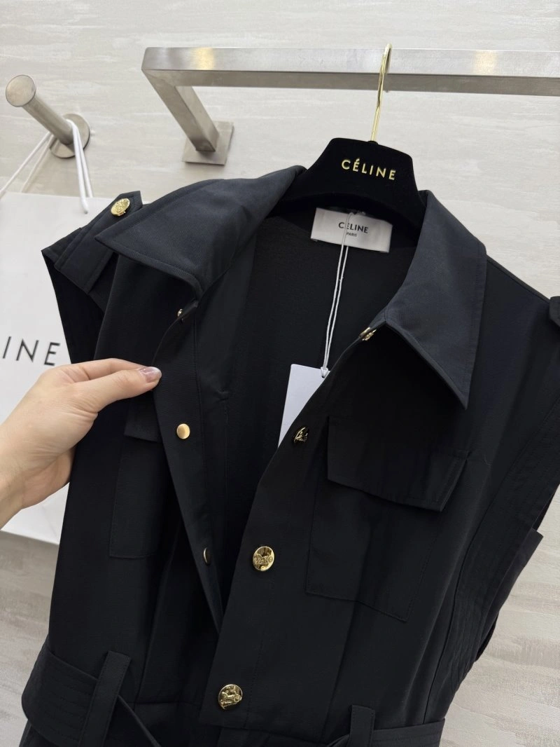 Economical Celine Dress