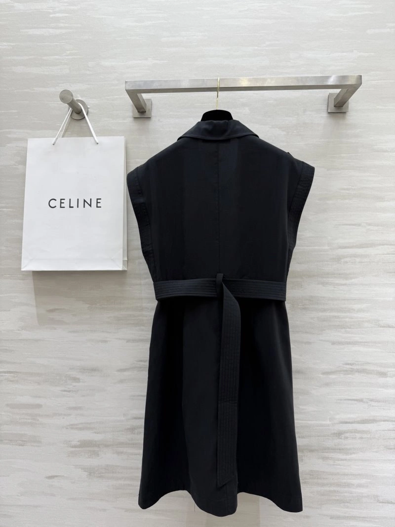 Economical Celine Dress