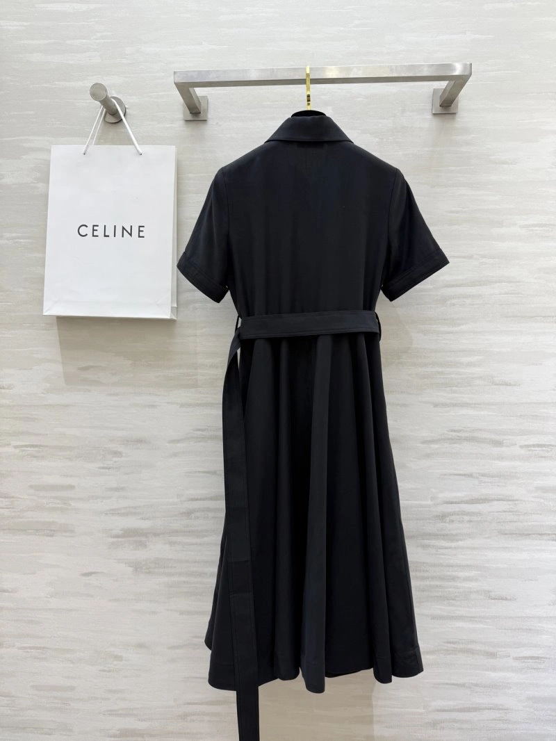 Indistinguishable Celine Dress